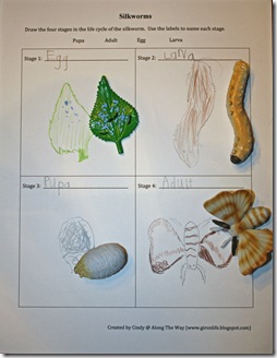 Along the Way: Science Sunday: Silkworms